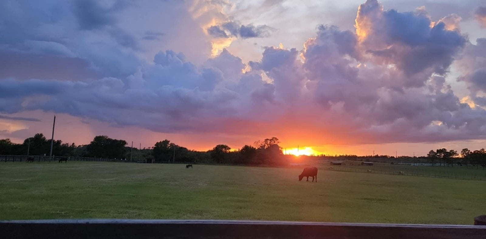 The Story Behind Wolf Hill Ranch Designs – Wolf Hill Designs